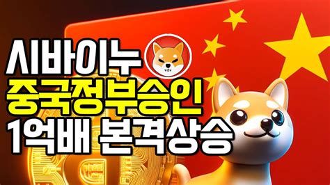 시바이누 본격적인 중국자금 쏟아집니다 최소 10억배 Youtube