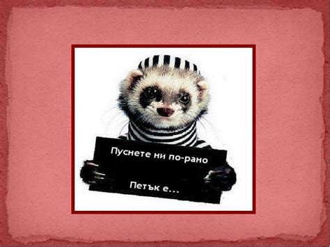 Компютърни вируси антивирусни програми скачать презентацию