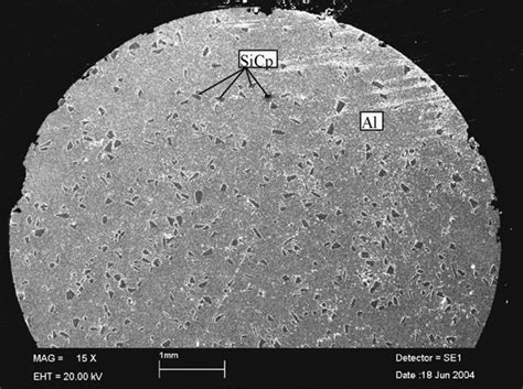 The Macrostructure Of The Product Cross Section Download Scientific Diagram