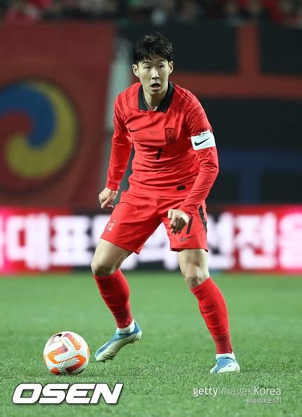 Osen “한국대표팀 주장은 중국에 가지 않는다” 기성용 인용한 손흥민 中은 불편한 반응 축구 소식통 에펨코리아