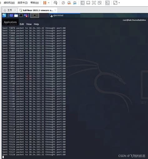kali linux的ddos攻击（详细教程） kali ddos csdn博客