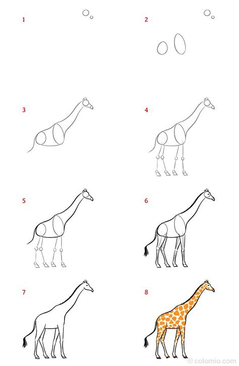 Giraffe Drawing Ideas How To Draw A Giraffe