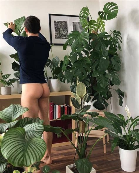 Tripleaaze On Tumblr