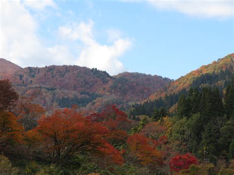 2022柳津の紅葉情報② 赤べこ伝説発祥の地 会津やないづ