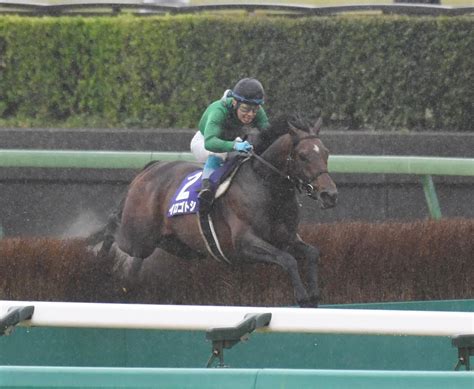 【中山gj】イロゴトシ九州産馬初のg1制覇 6番人気大差の圧勝で新障害王に 競馬写真ニュース 日刊スポーツ