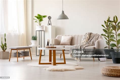 베이지색 소파 방석과 담요 Stnading 식물과 장식품으로 거실 인테리어에 램프 및 테이블 앞의 실제 사진 거실에 대한 스톡 사진 및 기타 이미지 Istock