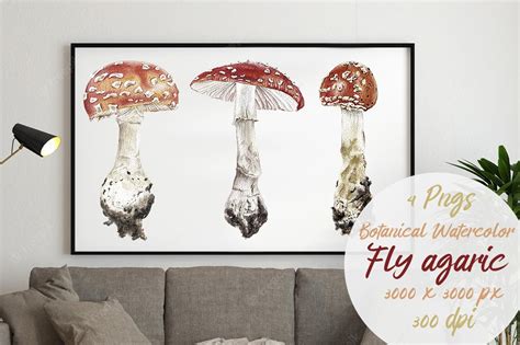 Sublimation Watercolor Fly Agaric Graphic By Marys Watercolor
