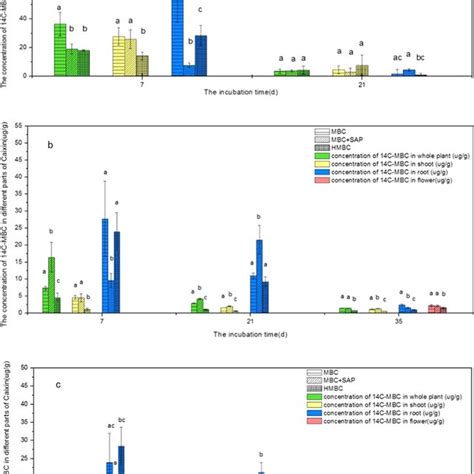The Distribution Of 14 C Radioactivity In Caixin Seedling Grown In Soil