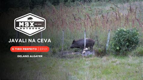 JAVALI NA CEVA O Tiro Perfeito Episódio 01 YouTube