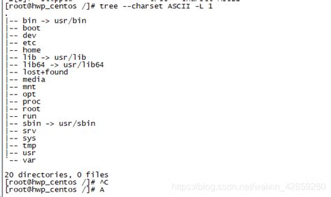 解决linux Centos服务器 Tree命令出现乱码 解析原因linux Tree 乱码 Csdn博客
