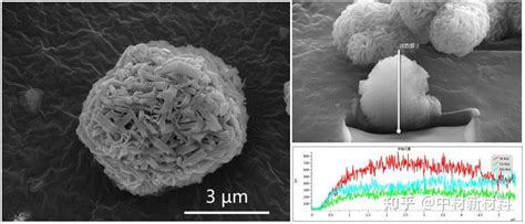 聚焦离子束制样（fib） 知乎