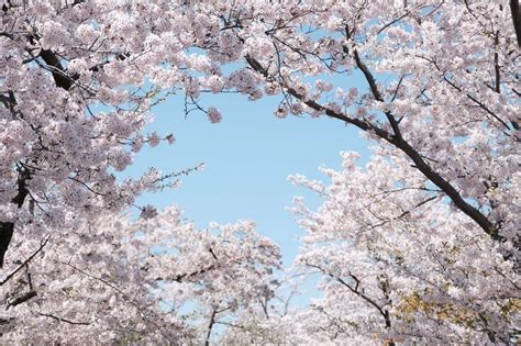 홋카이도 And 삿포로 조인 일일 투어 클룩 Klook 한국