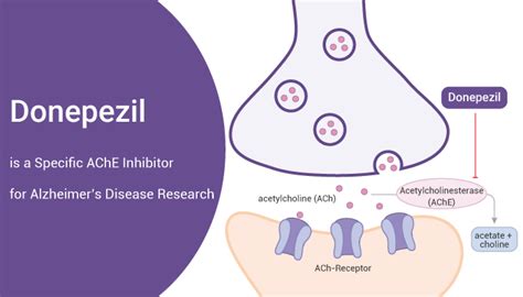 Donepezil Is A Specific AChE Inhibitor For Alzheimers Disease Research
