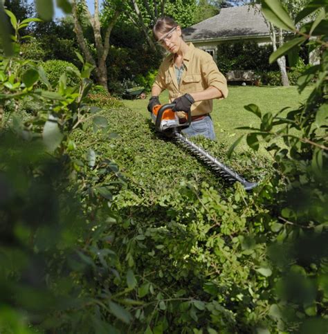 Кусторез аккумуляторный Stihl HSA 60 HA060113534 , купить Кусторез ...