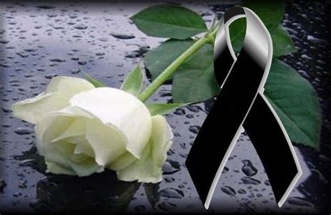 Siempre Estar S En Nuestros Corazones Flower Phone Wallpaper Flower