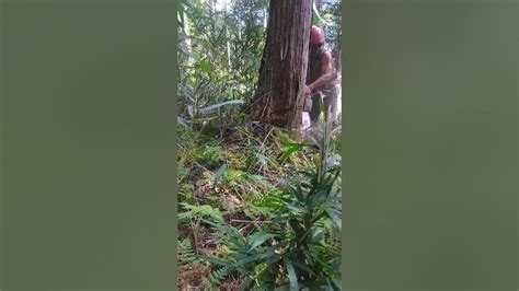 檜 伐採 Jap Cypress Fellingatree 0817 Youtube
