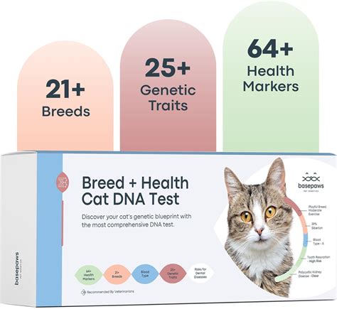 Basepaws Cat Dna Test Kit Comprehensive Breed Health