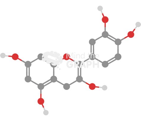 Free Catechin Molecule Icons Symbols Pictures And Images Mind The