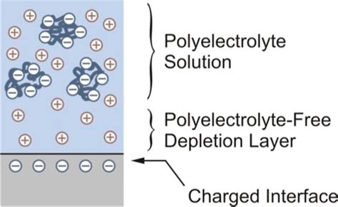 Depletion Of Polyelectrolytes Near Like Charged Substrates Probed By Optical Reflectivity The