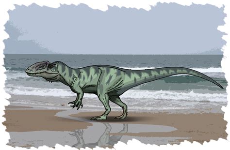 Carcharodontosauridae By Maniraptora On Deviantart