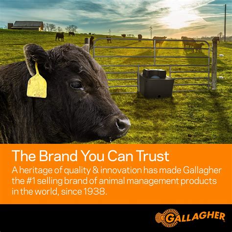 Buy Gallagher S Solar Electric Fence Charger Powers Up To Miles Acres Of Fence