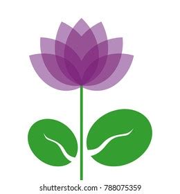 Lotus National Flower India Stock Illustration 788080705 Shutterstock