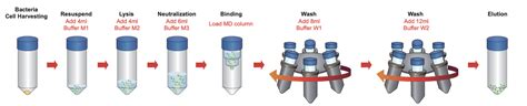 Plasmid Midiprep Kit Genedirex Inc