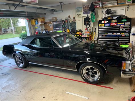 A Cougar Pic Your Cougar Pic Page Classic Cougar Community Discussion Classic Cougar