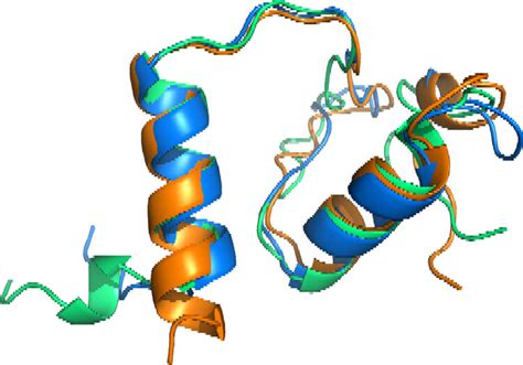 Structural alignment of the three SLH domains of the Sap protein. The ...