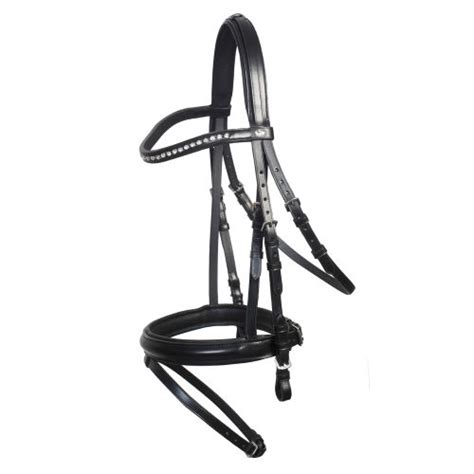 Gag Bits And Bridles Understanding Their Origins Use And Function