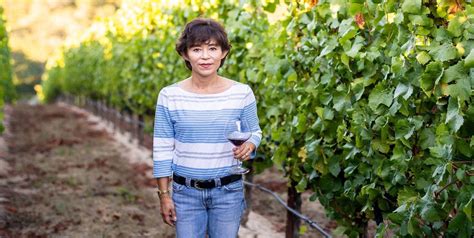 Buena Vista Winery Sonoma County Tourism