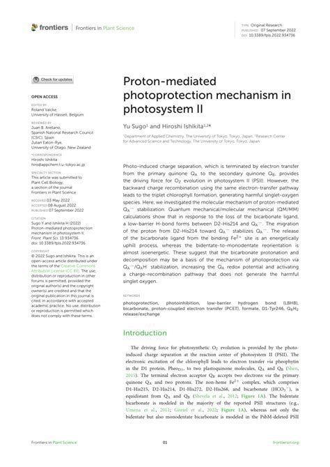 PDF Proton Mediated Photoprotection Mechanism In Photosystem II