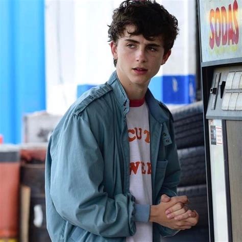 2 420 Me Gusta 26 Comentarios Lil Timmy Tim™ Elio Chalamet En