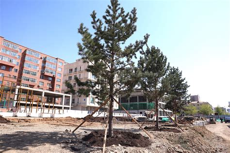 Урт цагааны цэцэрлэгт хүрээлэнг ирэх долоодугаар сард ашиглалтад оруулна