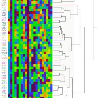 Hierarchical Clustering Dendrogram Analysis Of The Leaves Root Download Scientific Diagram