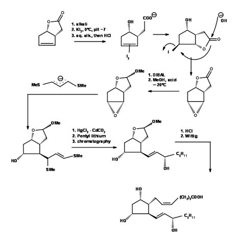 10 Strategies In Prostaglandins Synthesis Chemistry Libretexts