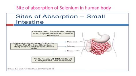 Selenium Metabolism And Its Clinical Significance Pdf