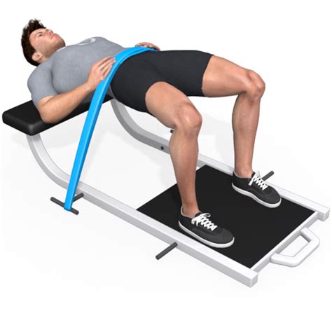 Bench Hip Thrust Band Resisted Video Exercise Guide