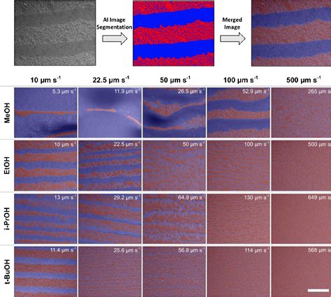 Figure 1 From The Effect Of Solvent On Convectively‑driven Silica Particle Assembly Decoupling