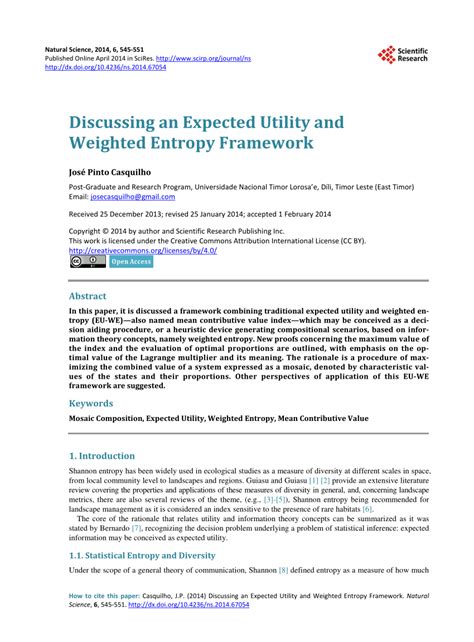 Pdf Discussing An Expected Utility And Weighted Entropy Framework