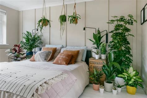 چرا برگ‌های گیاهان باز نمی‌ شوند؟