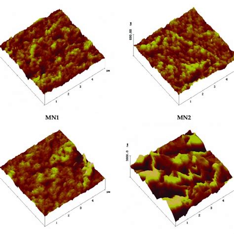 Afm Three Dimensional Surface Structure Roughness Of The Prepared