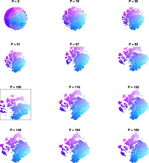 figures and data in mapping circuit dynamics during function and