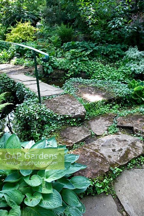 Images Found For Hosta GAP Gardens Page 132