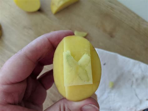 How To Make A Potato Stamp To Print On Fabric Bloom In The Black