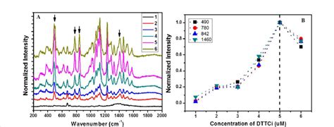 Sers Analysis Enhancement Of Sers Spectra At Different Concentrations