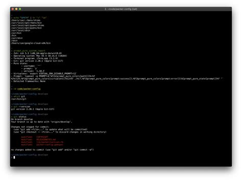 pure s git features stop working if usr local bin is in my path