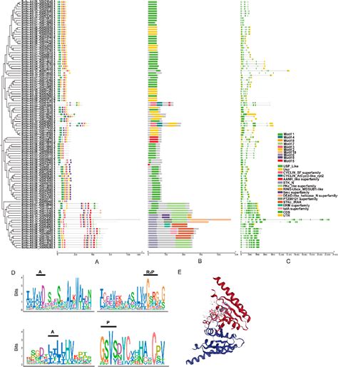 Figure 4 from Genome Wide Identiﬁcation and Expression Proﬁling of