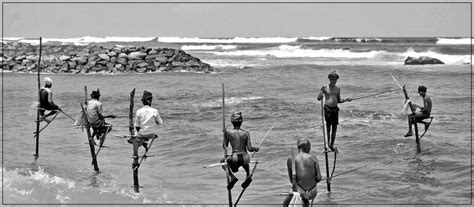 வாத்துகளுக்கு வாழ்வு கொடுங்கள்