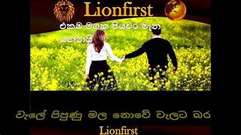 Ekama Magaka Piyawara Mana Yannai එකම මගක පියවර මැන යන්නයි Chords